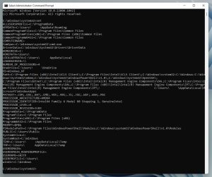 Comprehensive List of Environment Variables in Windows 10/11 - Michael ...